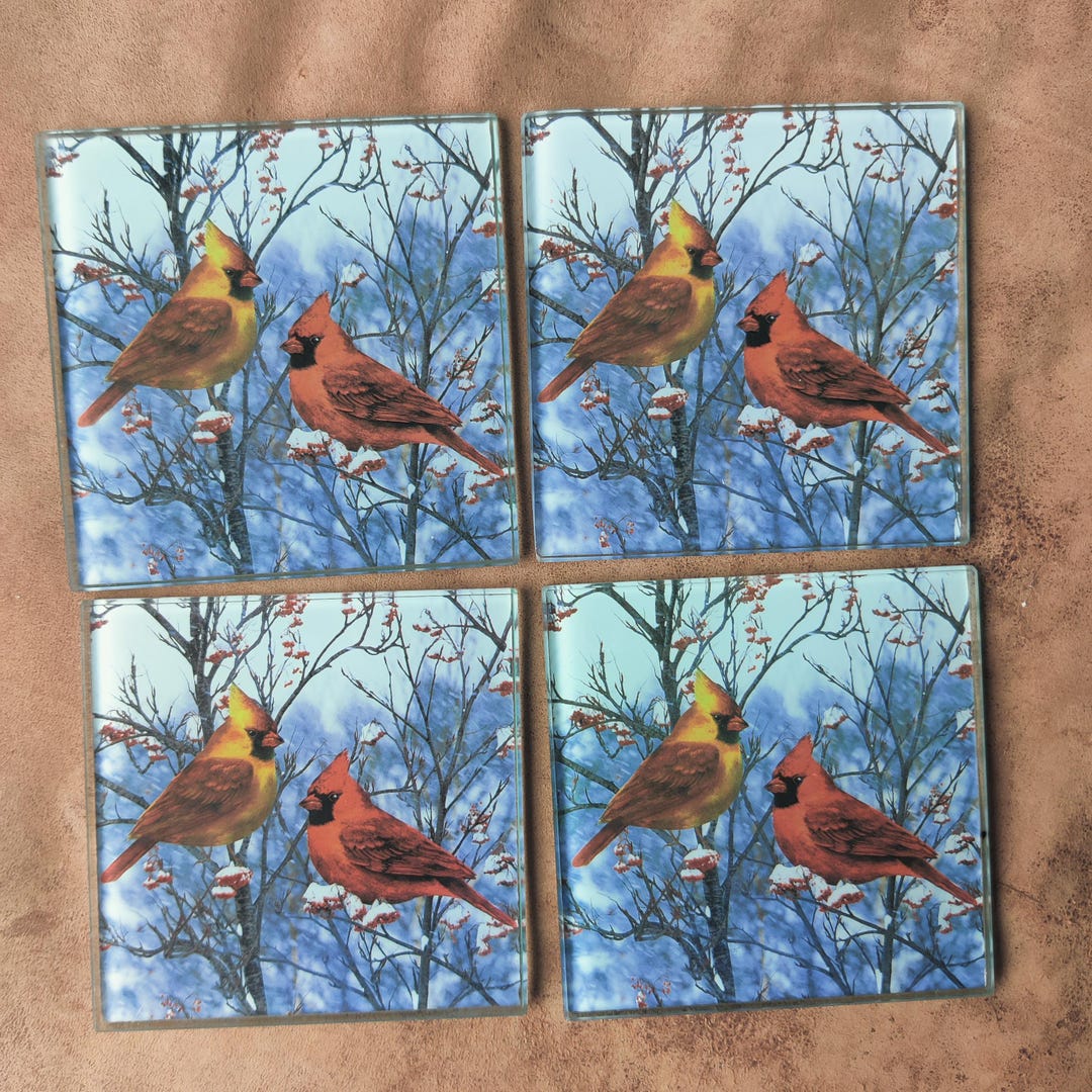 Cardinal Pair Drink Coasters 4 Vintage Tempered Glass Footed Non Skid ...