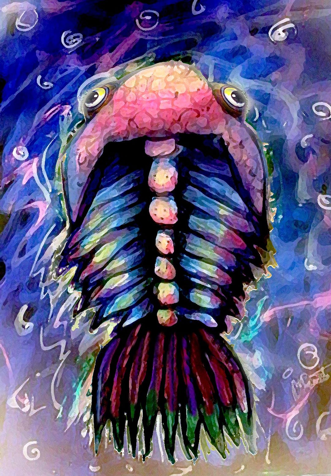Trilobite Blue, by Artist John Donato - Etsy