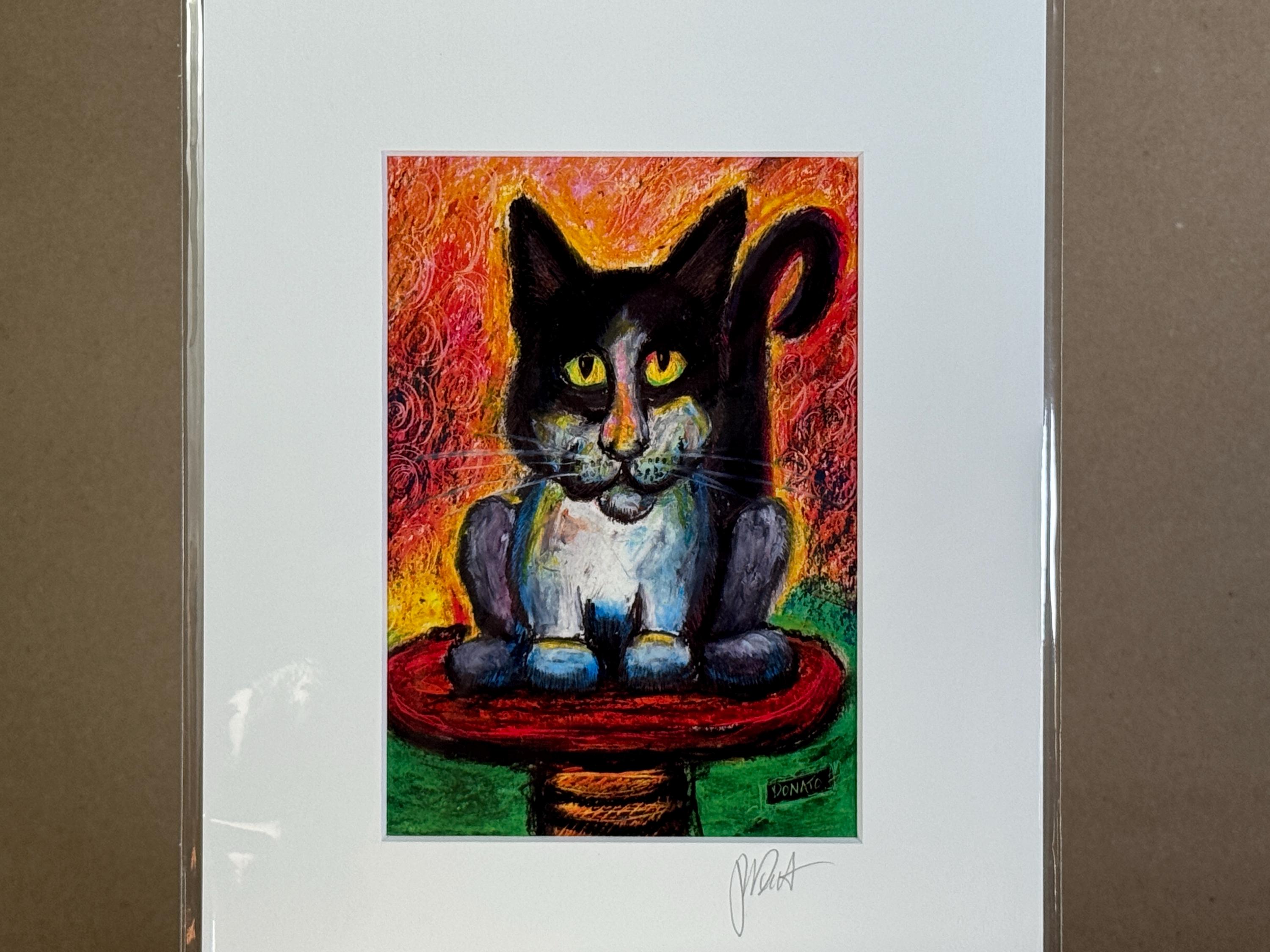 Black and White Cat, by Artist John Donato - Etsy