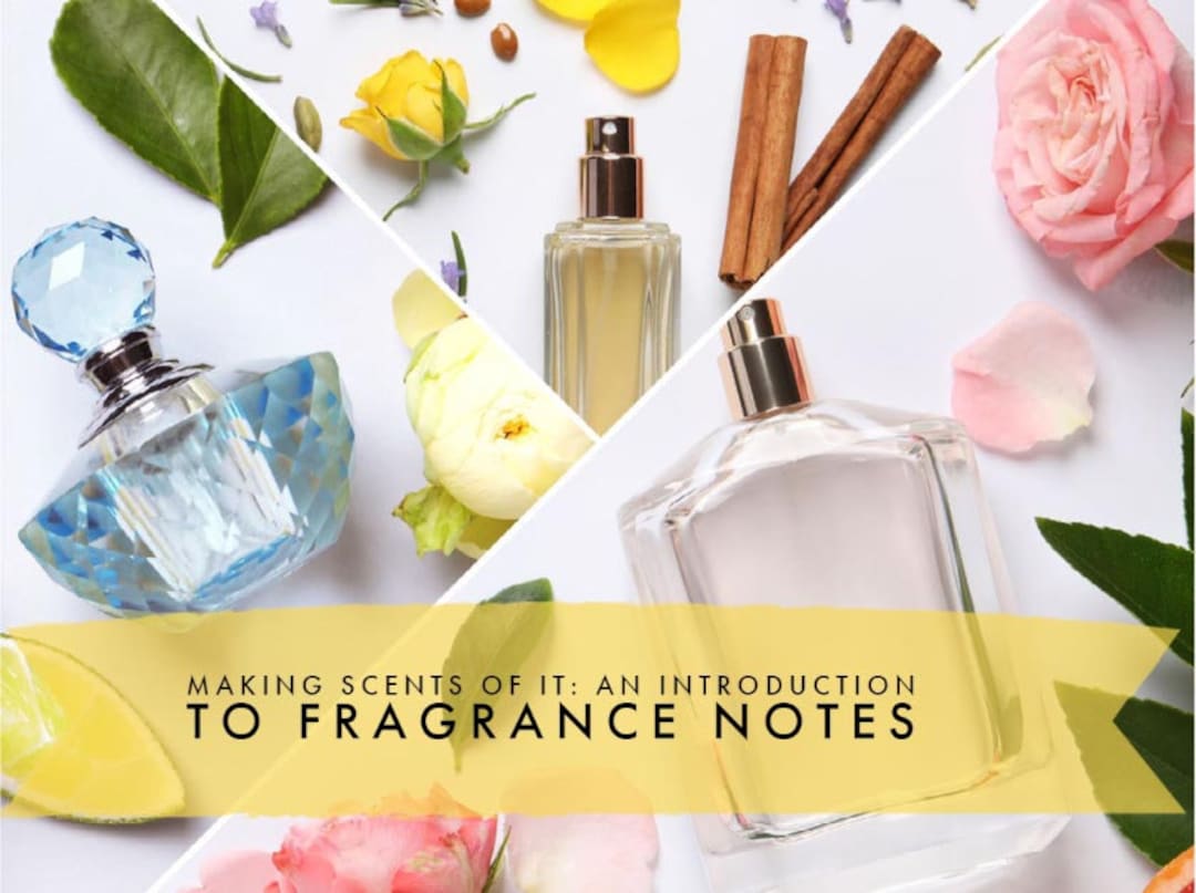 All About Fragrance Notes: Making Scents of It - an Introduction to ...