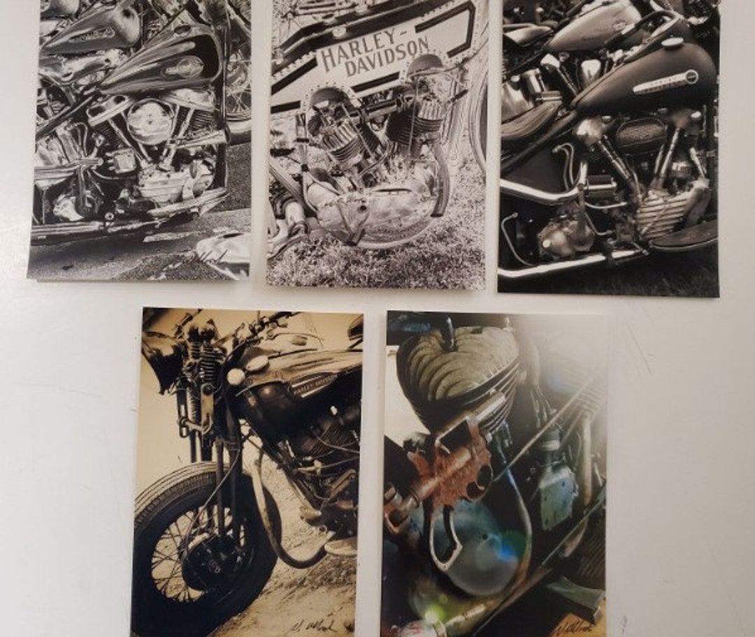 5 Different 4x6 Inch Photo From Natanic's Archives! - Antique ...
