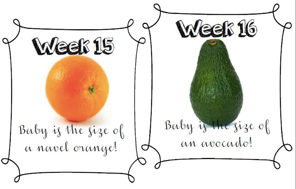 Week by Week Pregnancy Fruit Printable // Maternity Week by - Etsy