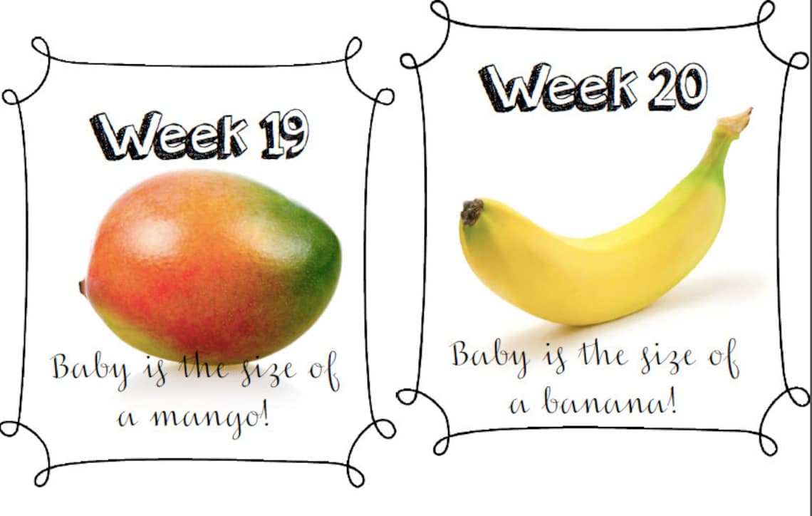 Week by Week Pregnancy Fruit Printable // Maternity Week by - Etsy