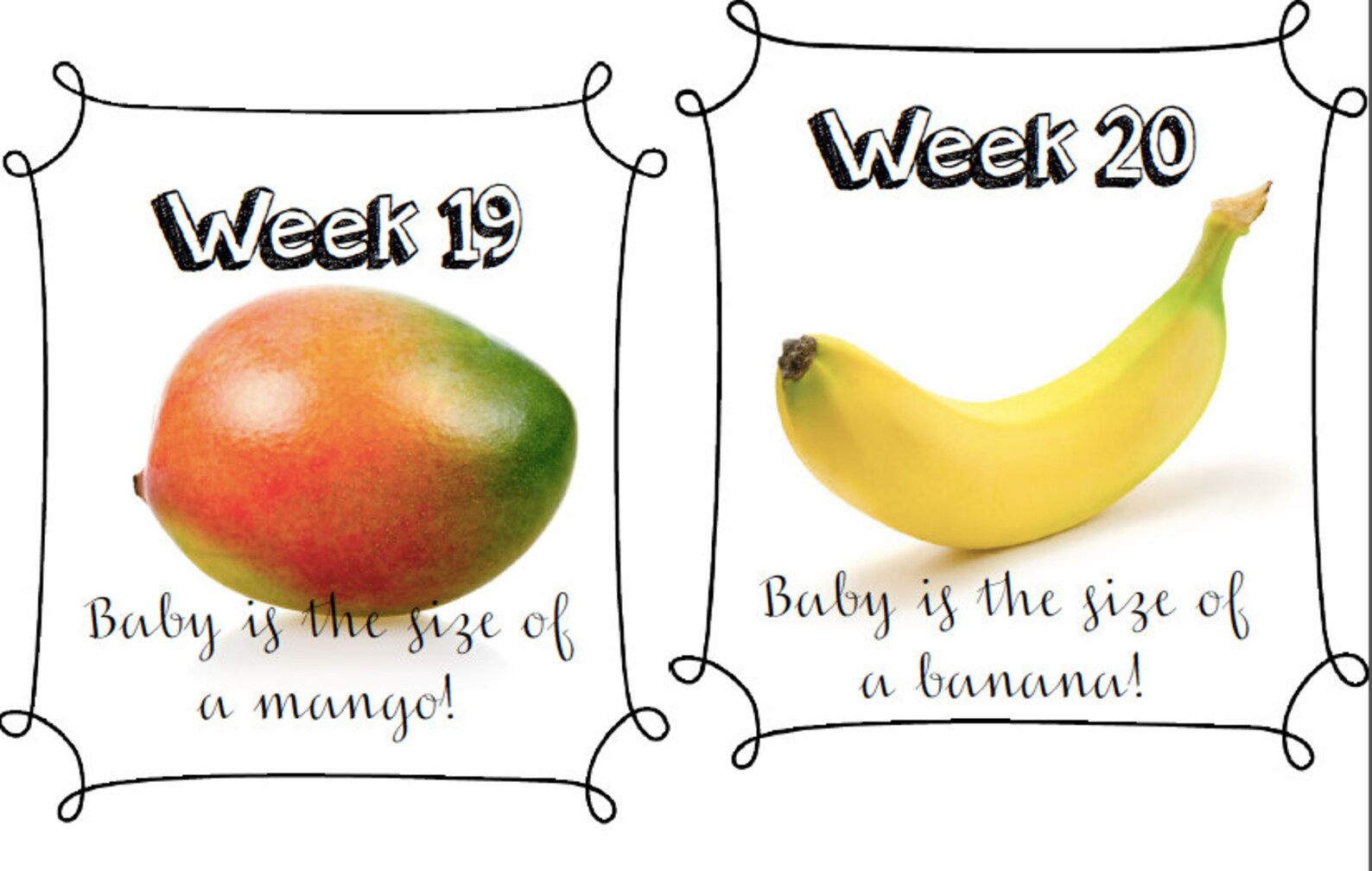 Week by Week Pregnancy Fruit Printable // Maternity Week by - Etsy