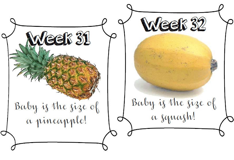 Week by Week Pregnancy Fruit Printable // Maternity Week by - Etsy