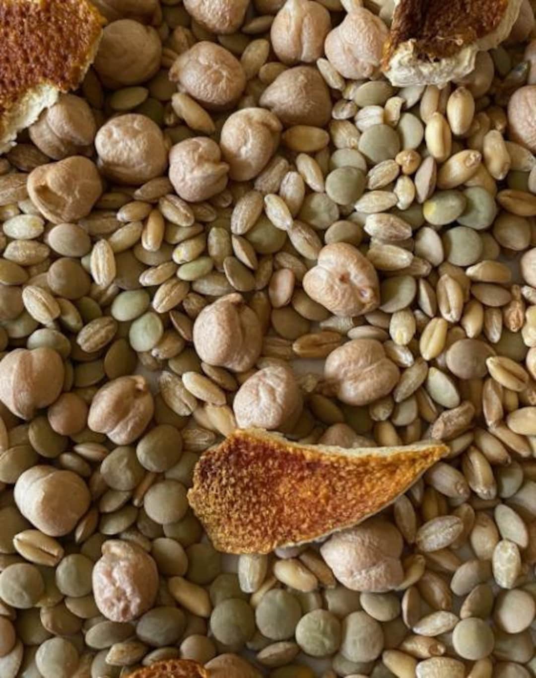 Tunisian Bsisa Powder/ Jewish Bsisa Powder /wheat, Chickpeas and Lentil ...