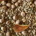 Tunisian Bsisa Powder/ Jewish Bsisa Powder /wheat Chickpeas - Etsy