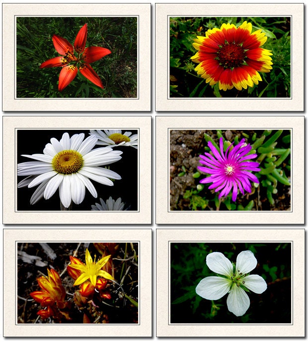 Flower Photo Note Cards With Envelopes - Nature Blank Note Cards ...