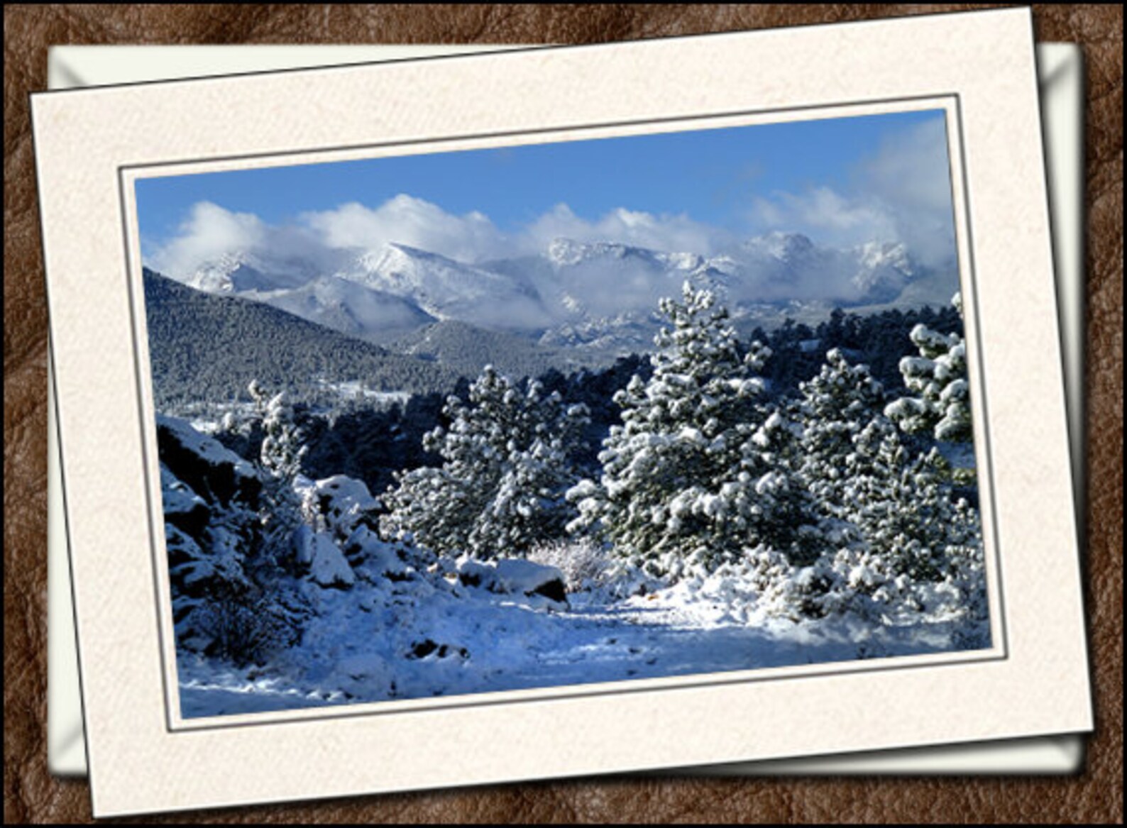 6 Nature Photo Note Cards 5"x7" Set W/envelopes - Blank Nature Handmade ...