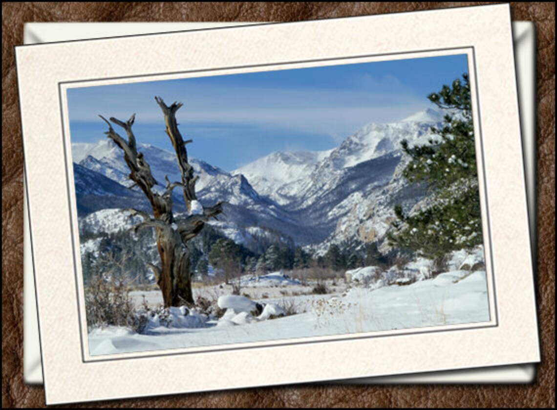 6 Nature Photo Note Cards 5x7 W/envelopes Set - Blank Note Cards ...