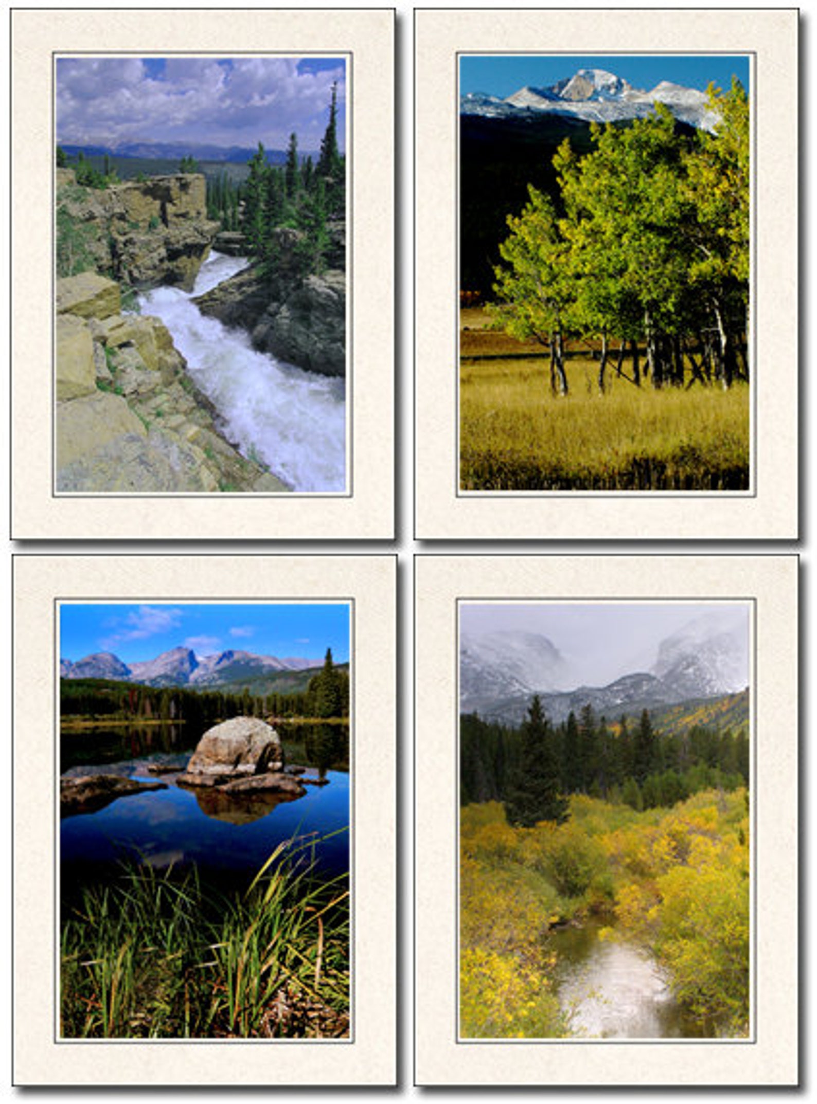 4 Nature Photo Greeting Cards Blank Note Cards With Envelope | Etsy