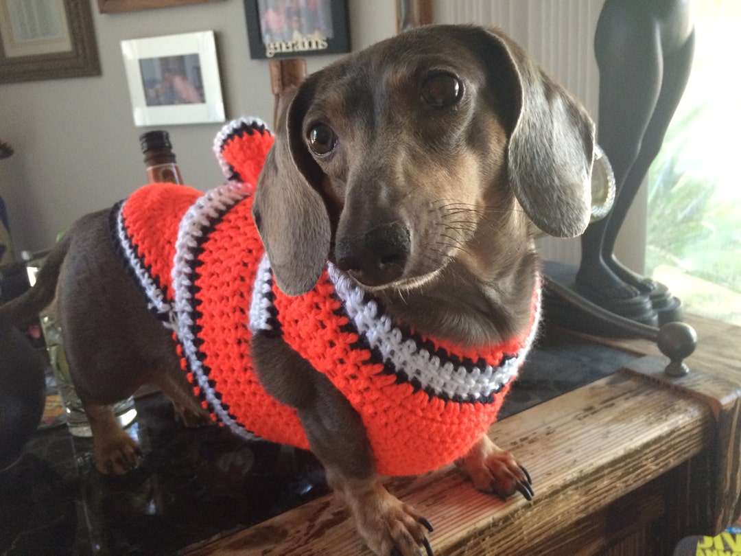 Fish Costume Dog Sweater! - Etsy