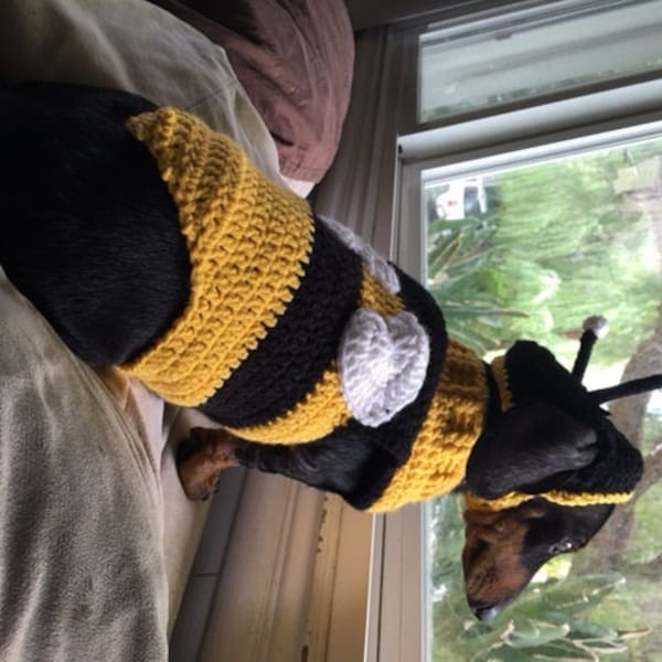 Dog Bee Costumes - Etsy