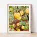 Tuscan Lemon Tree Print Set: Italy Kitchen Wall Art (digital Download ...