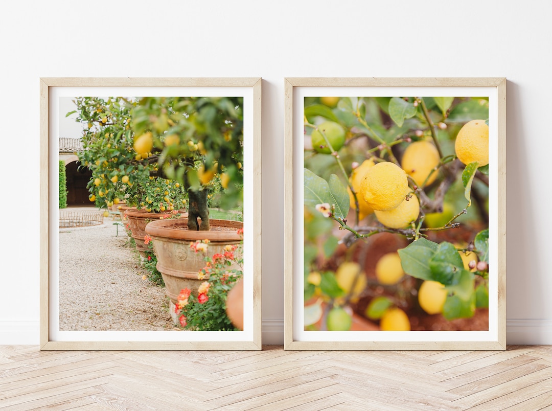 Tuscan Lemon Tree Print Set: Italy Kitchen Wall Art (digital Download ...