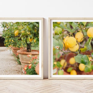 Tuscan Lemon Tree Print Set: Italy Kitchen Wall Art (digital Download ...
