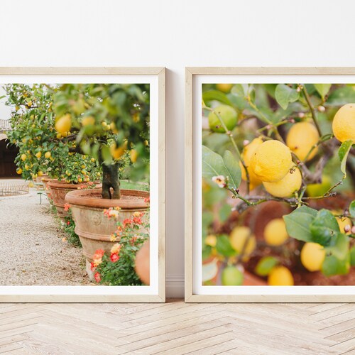 Tuscan Lemon Print Tuscany Wall Art Set of 2 Prints | Etsy