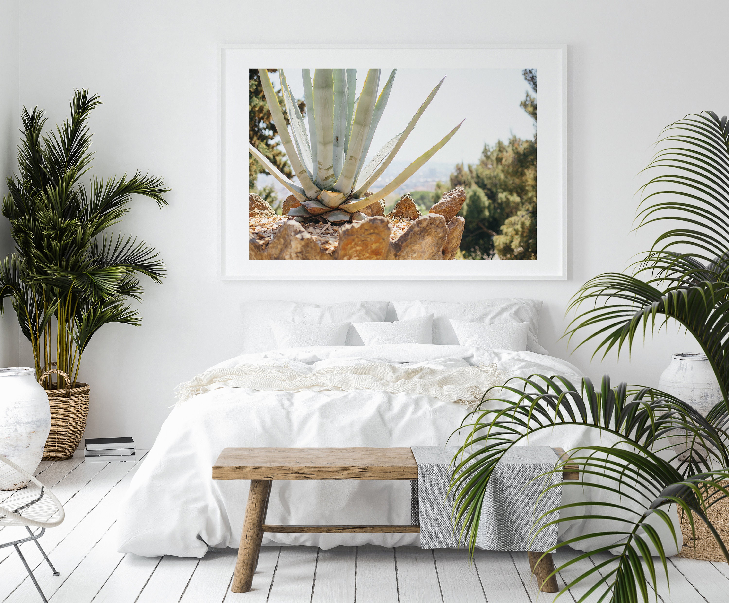 Barcelona Park Güell Agave Cactus Digital Print // Instant Download ...