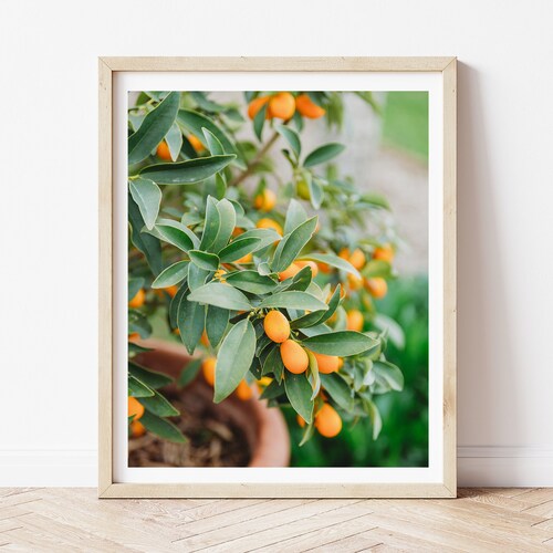 Tuscan Lemon Print Tuscany Wall Art Photos of Italy - Etsy