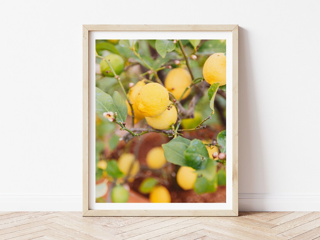 Tuscan Lemon Print Tuscany Wall Art Photos of Italy - Etsy