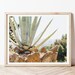 Barcelona Park Güell Agave Cactus Digital Print // Instant Download ...