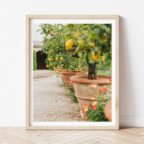 Tuscan Lemon Print Tuscany Wall Art Photos of Italy - Etsy