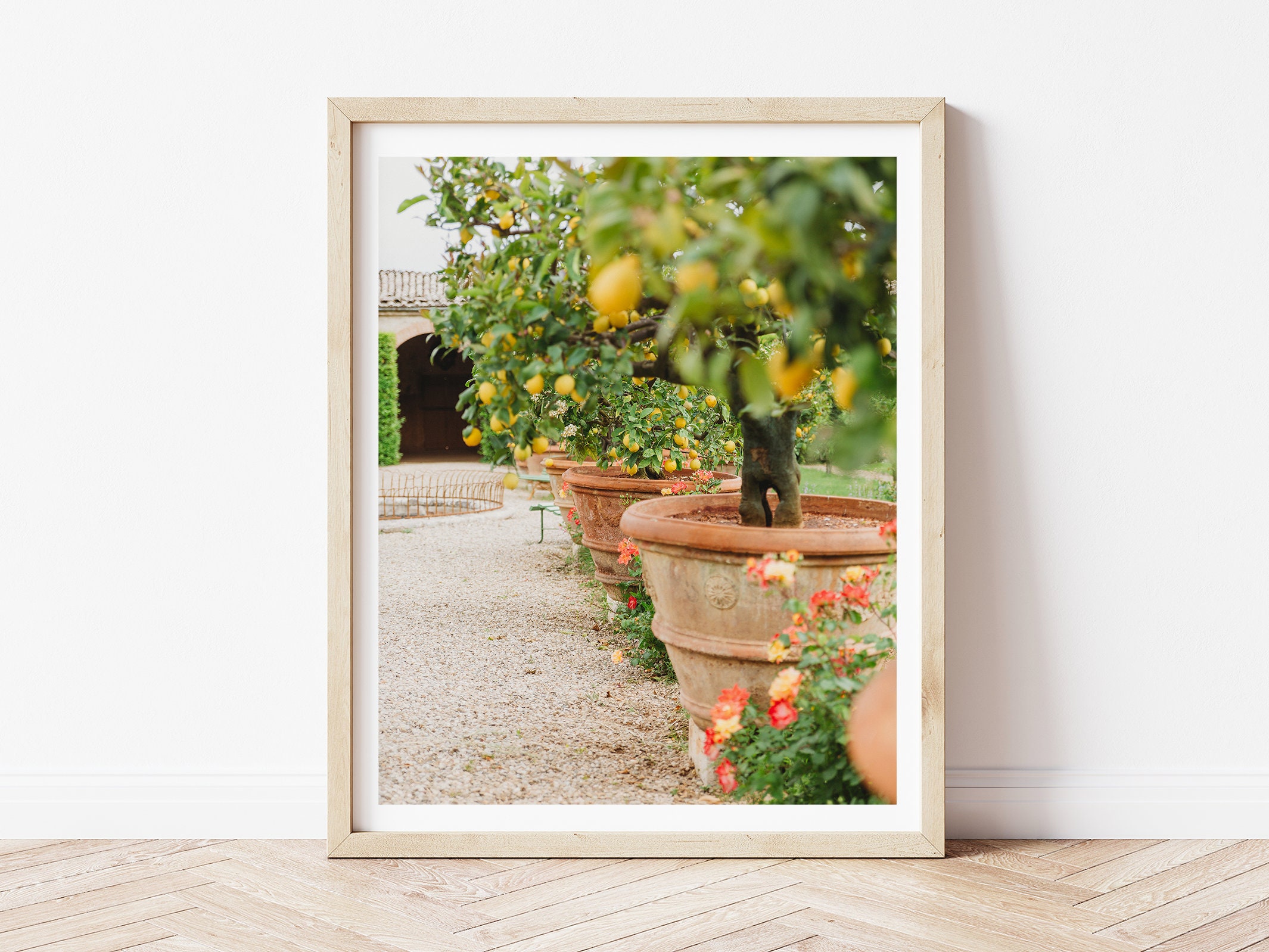 Tuscan Lemon Print | Tuscany Wall Art | Photos of Italy | Kitchen ...