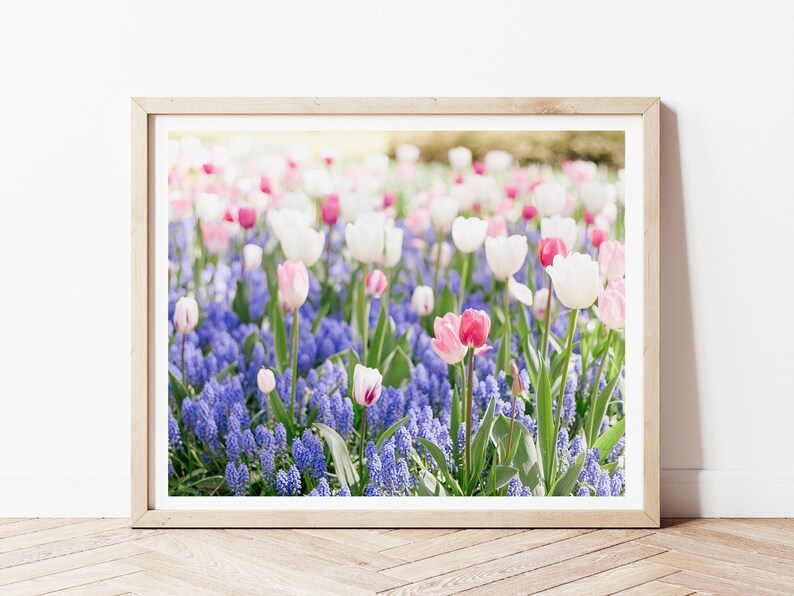 Holland Tulips Digital Print | Instant Download | Netherlands Wall Art ...