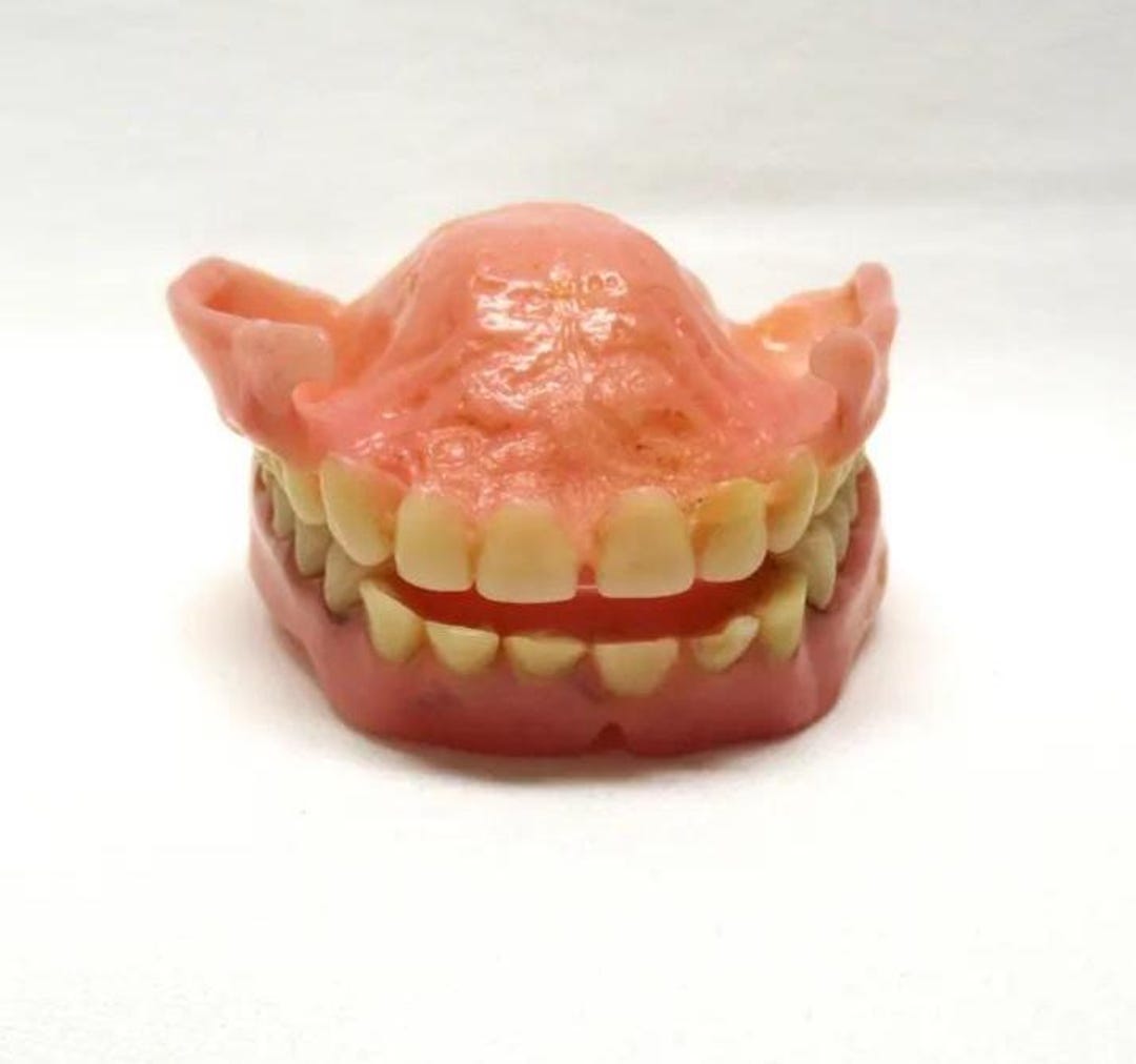 Vintage Set of Dentures, Acrylic Adult Human Teeth, Old Medical Oddity ...