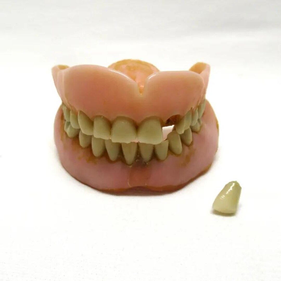 Vintage Set Dentures, Acrylic Adult Human Teeth, Old Medical Oddity ...