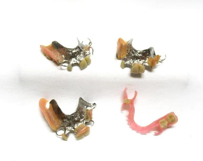 Vintage Human Denture Partials, Medical Oddity, Acrylic Human Fake ...