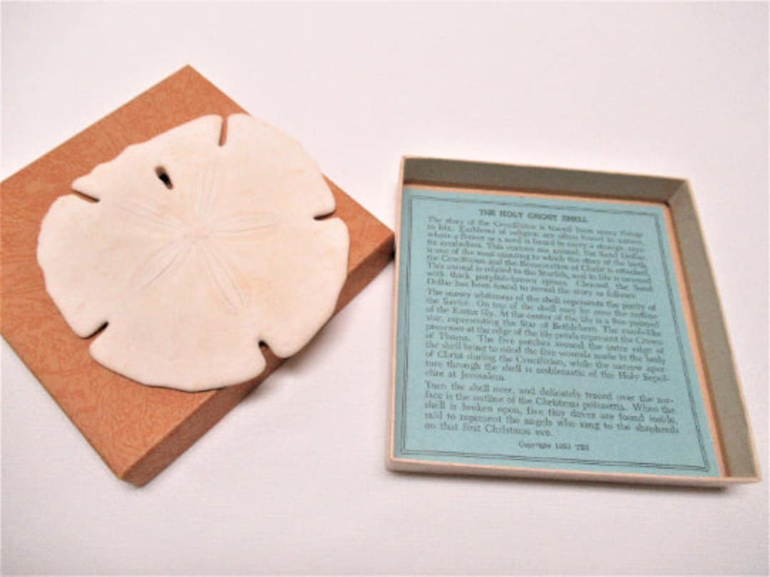 Vintage the Holy Ghost Shell Sand Dollar Legend - Etsy