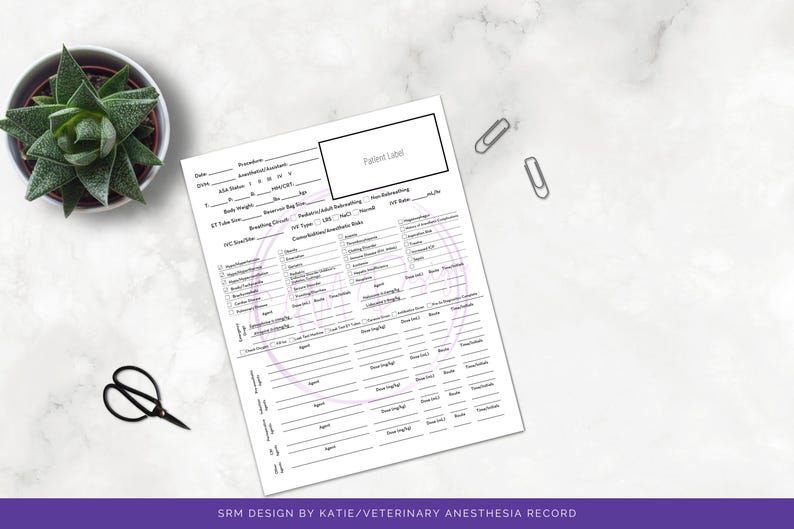 Vet Anesthesia Monitoring Sheet: Customizable Surgery Record PDF - Etsy