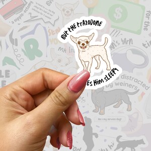 Vet Tech Sticker Pack, Cute Veterinary Stickers, Animal Lover Decals ...