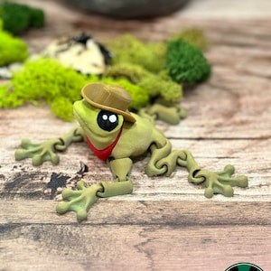 3D Printed Cinderwing Articulated Cowboy Frog Fidget Frog Display ...