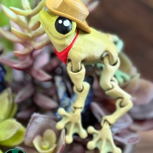 3D Printed Cinderwing Articulated Cowboy Frog Fidget Frog Display ...