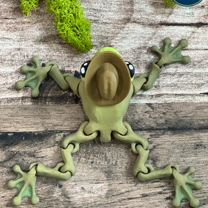 3D Printed Cinderwing Articulated Cowboy Frog Fidget Frog Display ...
