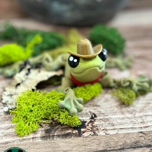3D Printed Cinderwing Articulated Cowboy Frog Fidget Frog Display ...