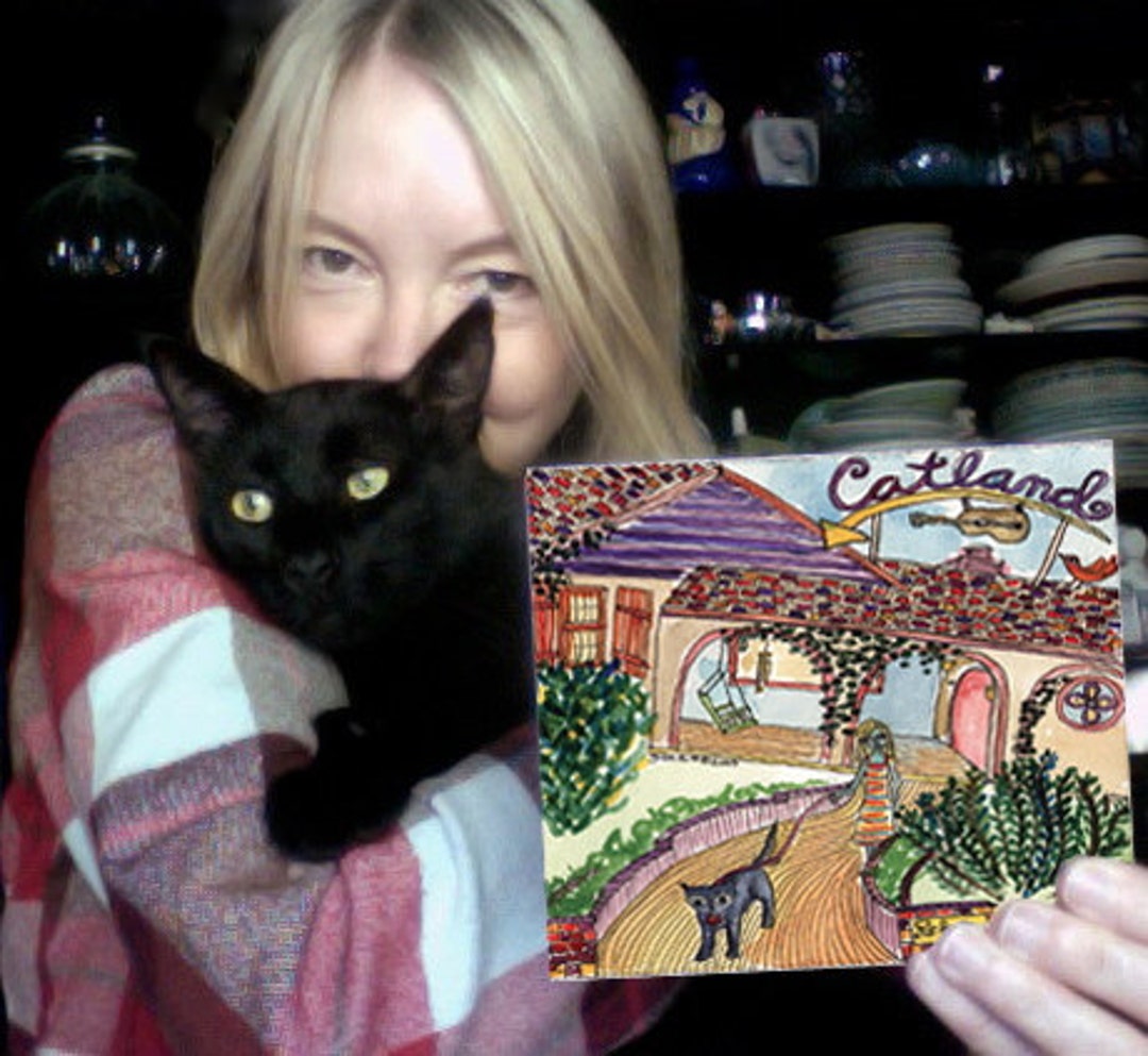 Feline Folk Cat Songs About Cats Sleeping, Playing, Trips to the Vet ...