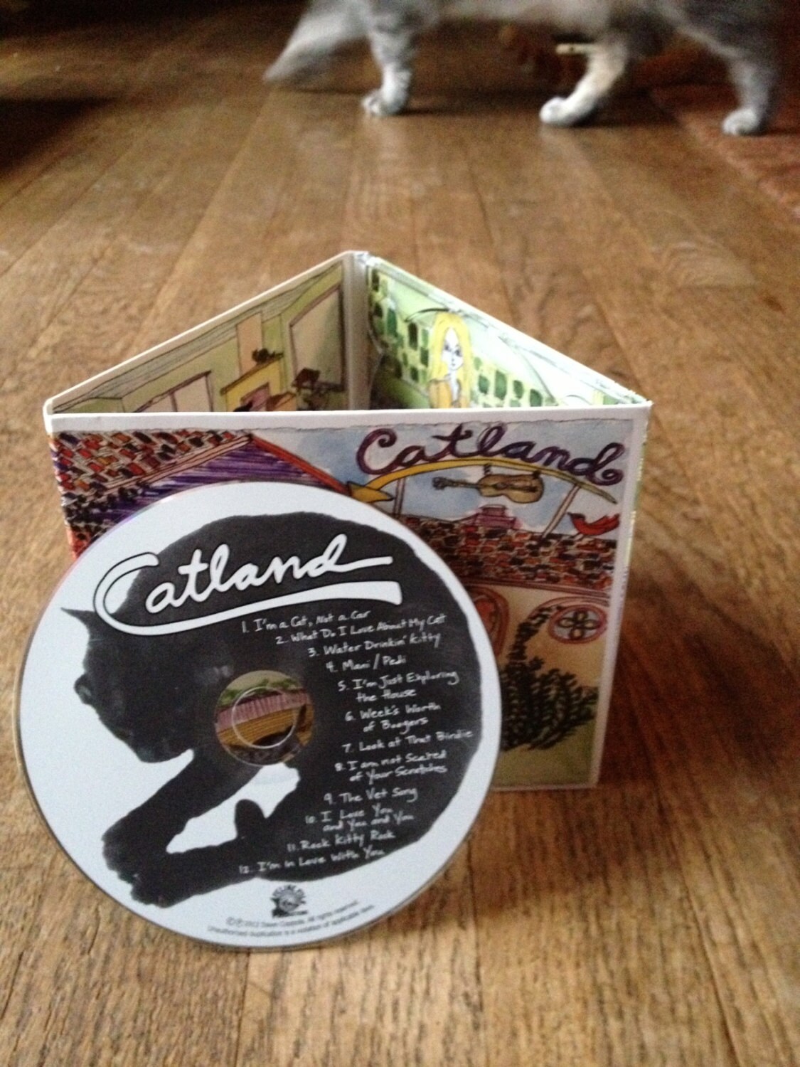 Feline Folk Cat Songs About Cats Sleeping, Playing, Trips to the Vet ...