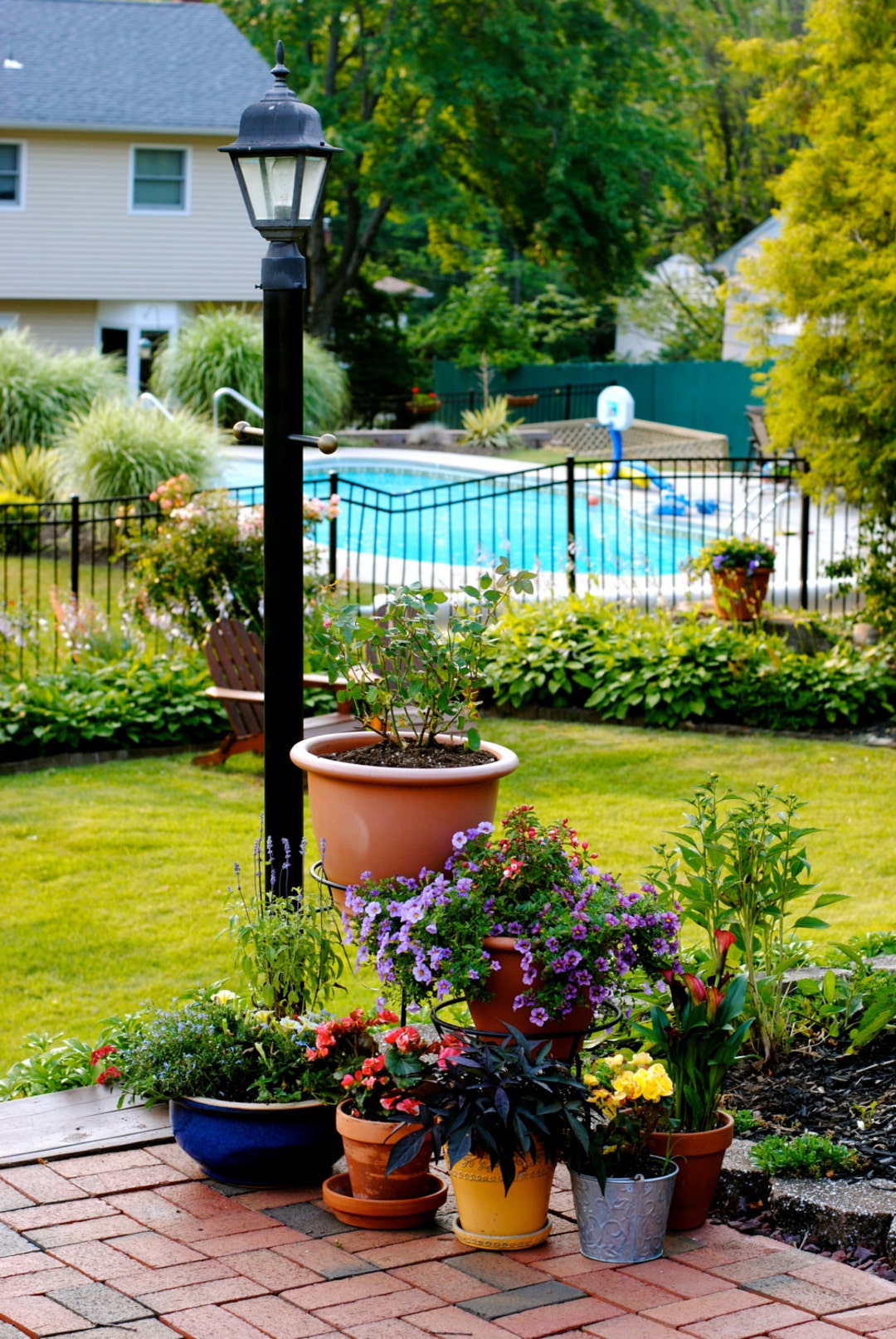 Summertime Backyard Photograph Print - Etsy