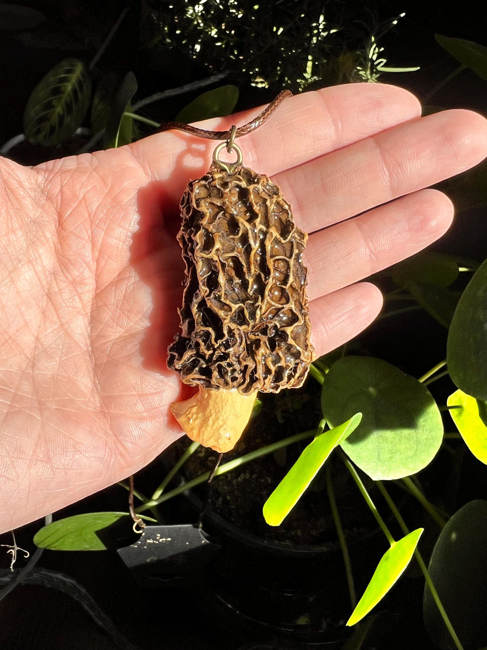 Real Morel Mushroom Resin Sealed Jewelry Necklace - Etsy