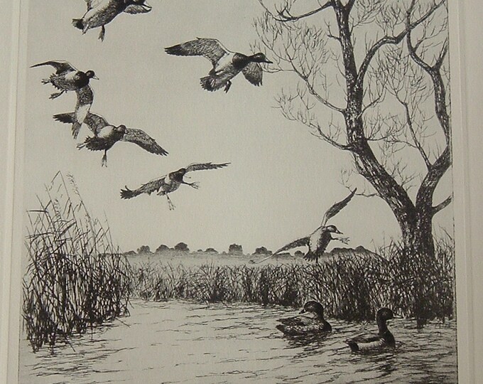 Richard Bishop "lucky Pond" Ducks on a Pond Print - Brown & Bigelow ...