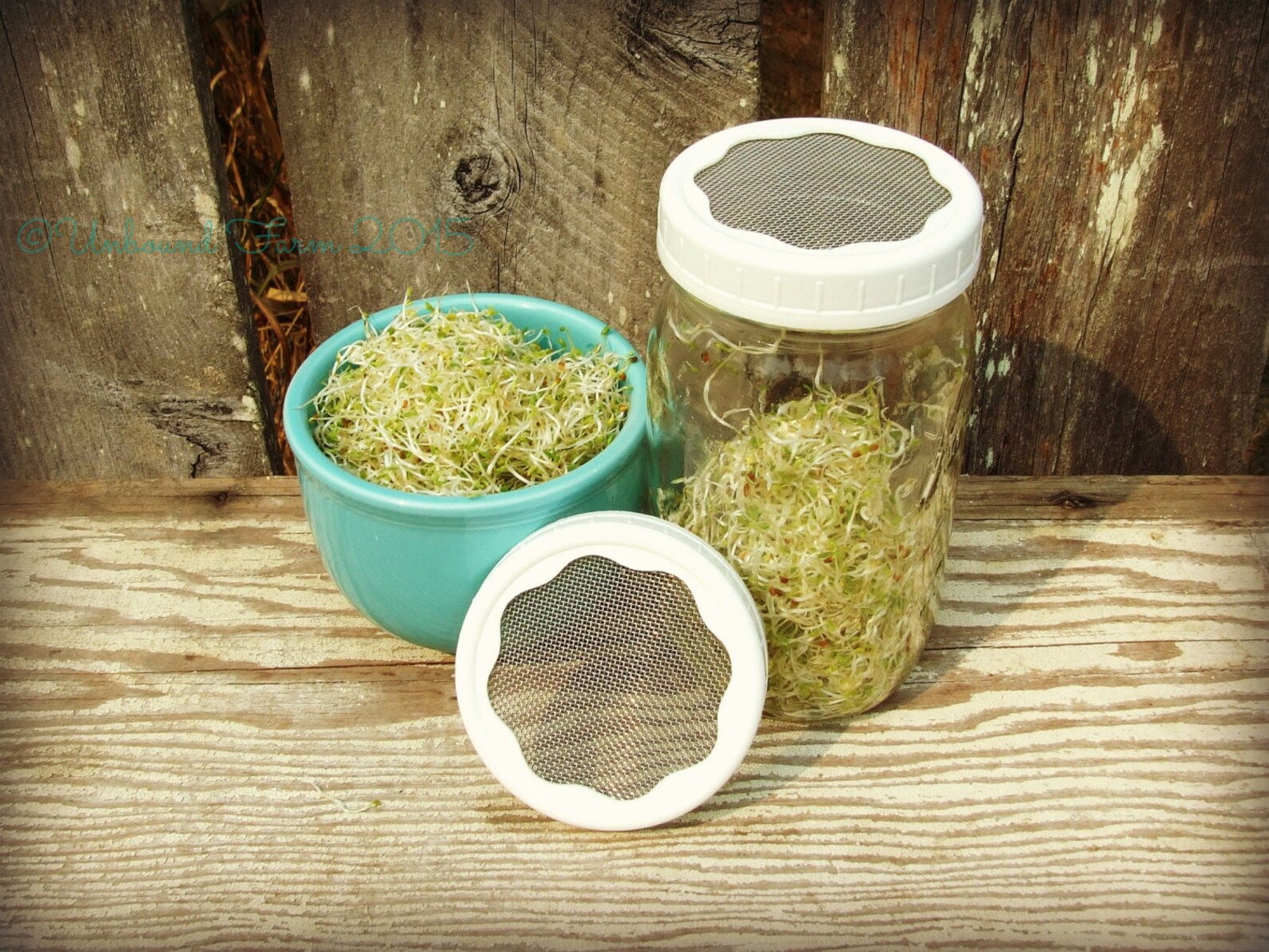 Set of 4 Original Speed Sprouting Lids - Grow Sprouts in A Jar ...
