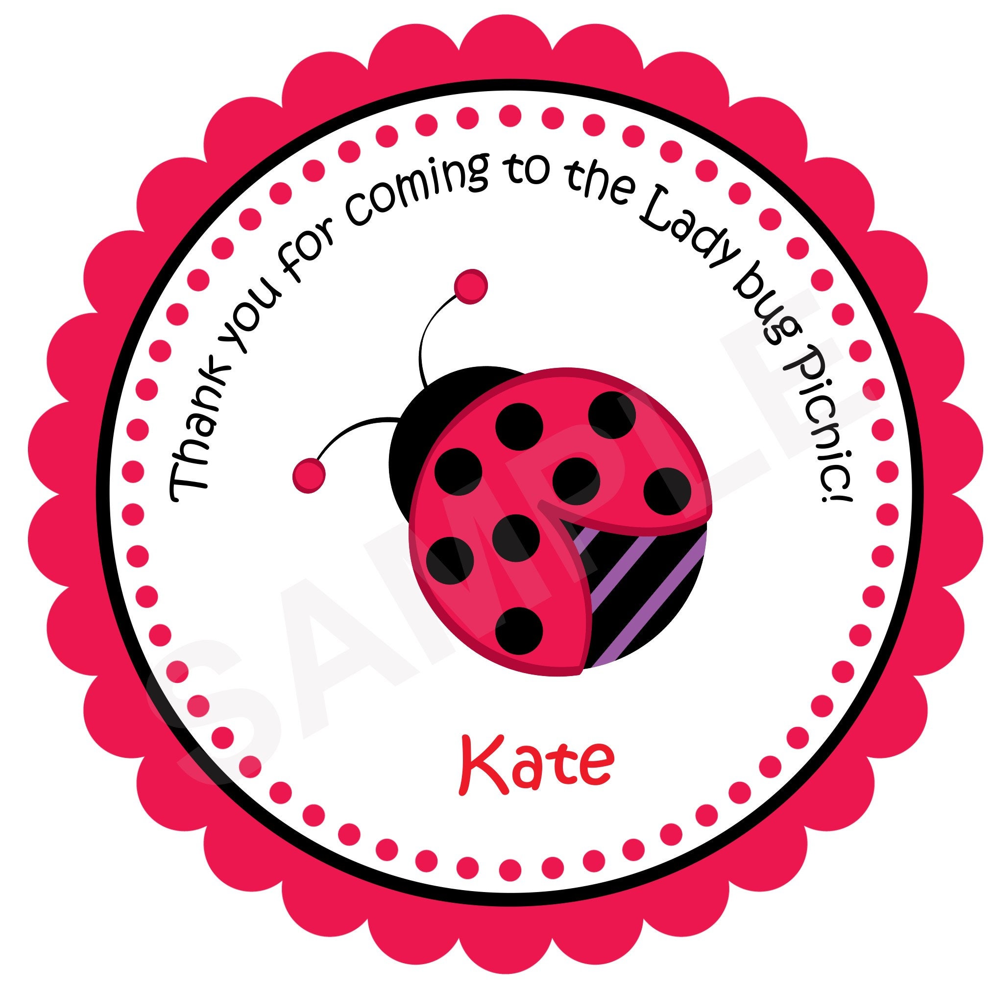 Lady Bug Birthday Stickers Lady Bug Stickers Personalized | Etsy