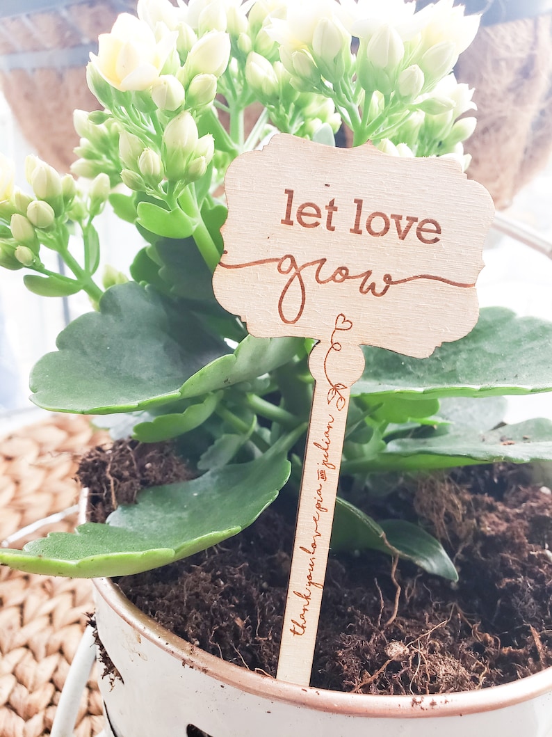 Plant Wedding Favors Let Love Grow Succulent Stake Plant Tags - Etsy