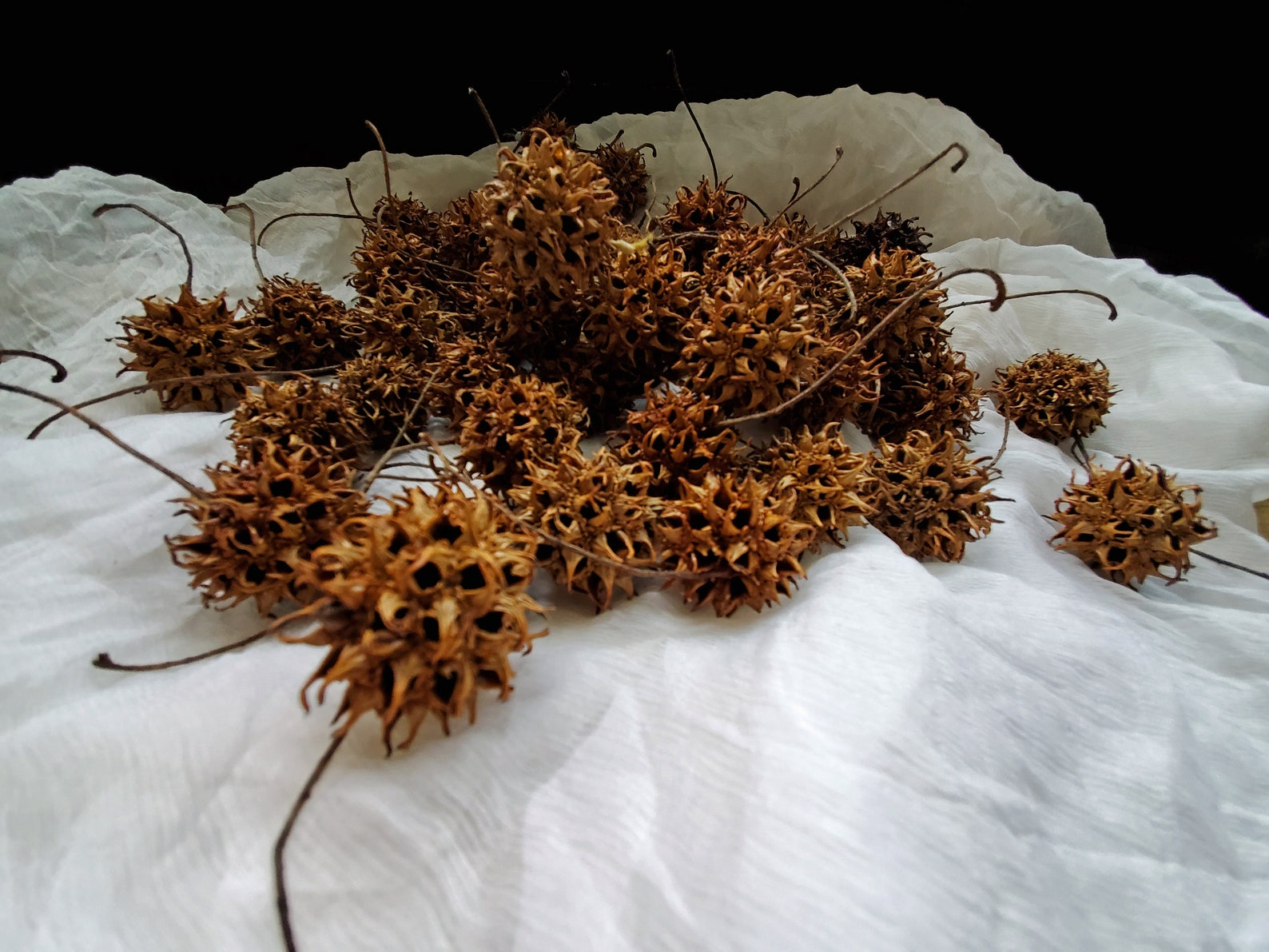 Sweet Gum Balls, for Crafts, Decoration in Bowl, (50 Pieces) These Are ...