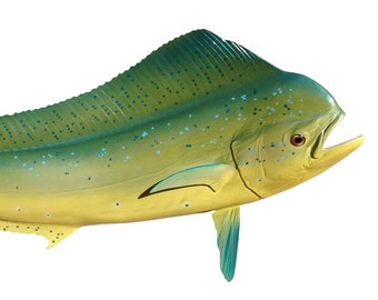 40'' Bull Dolphin / Mahi-mahi Half-side Fish Mount - Etsy