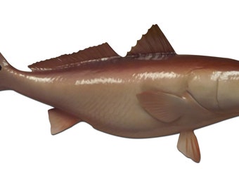 FishMounts - Etsy