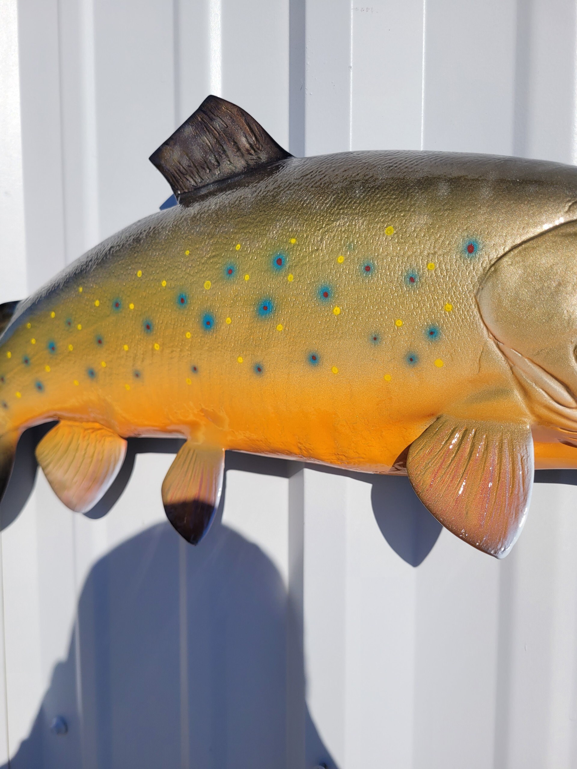 Brook Trout Fish Mount - 24 Inches - Half Mount - Etsy